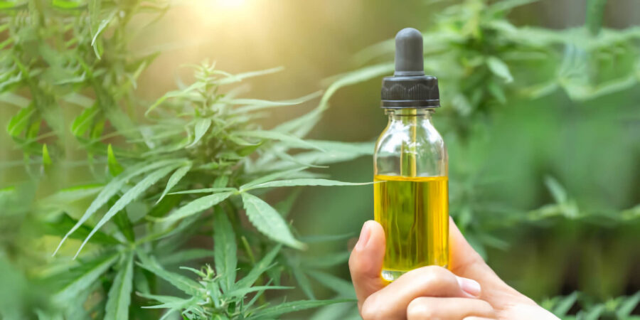 Hemp Seed Oil Vs Hemp Extract Understanding The Difference And Benefits Cannablithe Buy Cbd